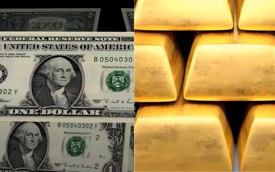 PPI意外“刹车”，美元跳水黄金冲高，所有目光转向明日CPI 提供者 FX678